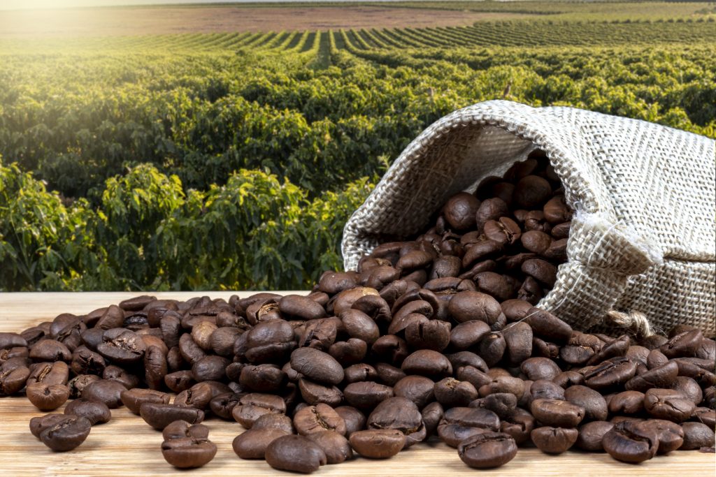 A história do café no Brasil – Sweetco